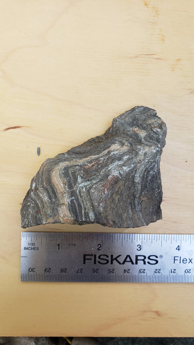 Snake Range Folded Calc-Silicate Rock – Insouciant Studios